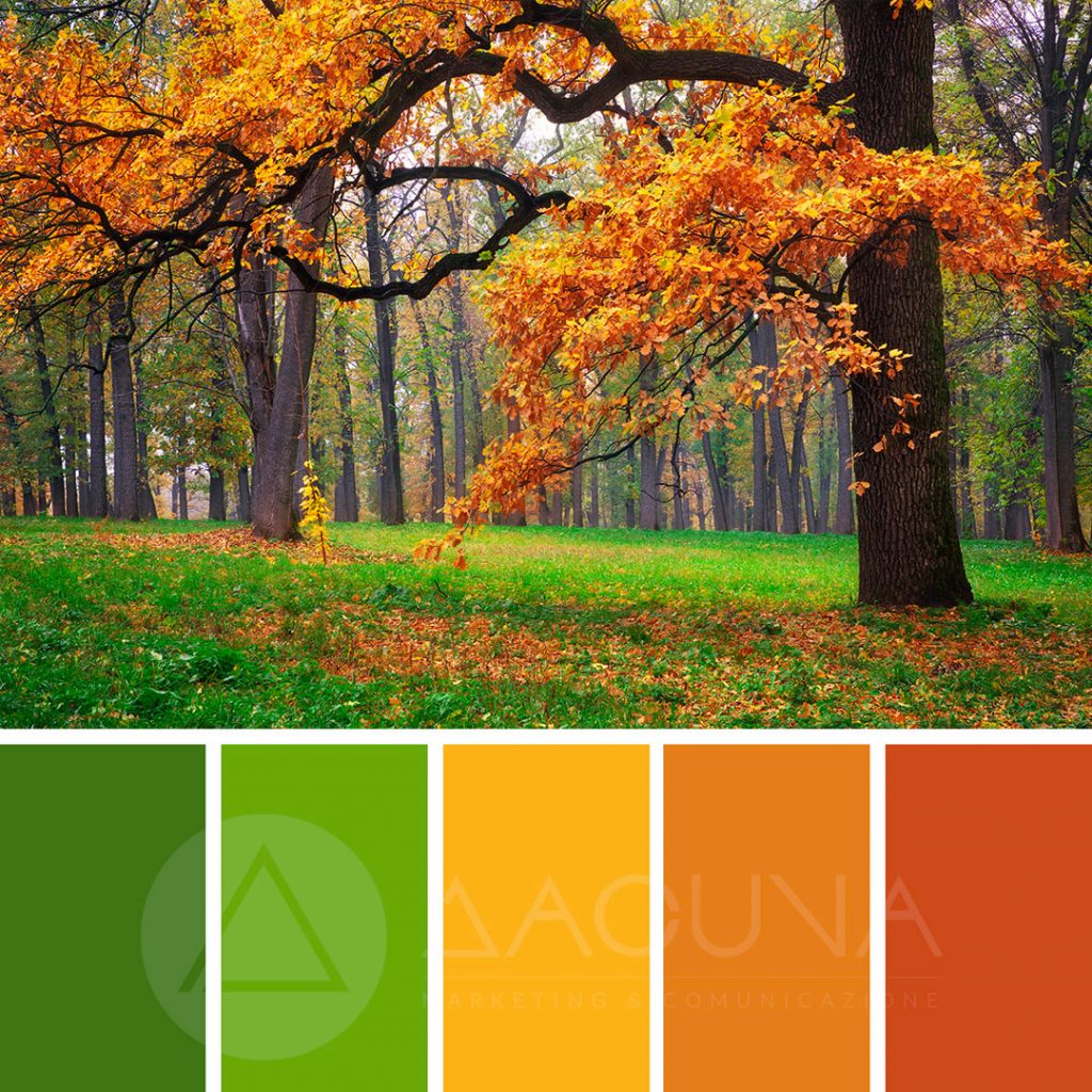 10 palettes di colori autunnali da scaricare - David Izurieta Dacuna