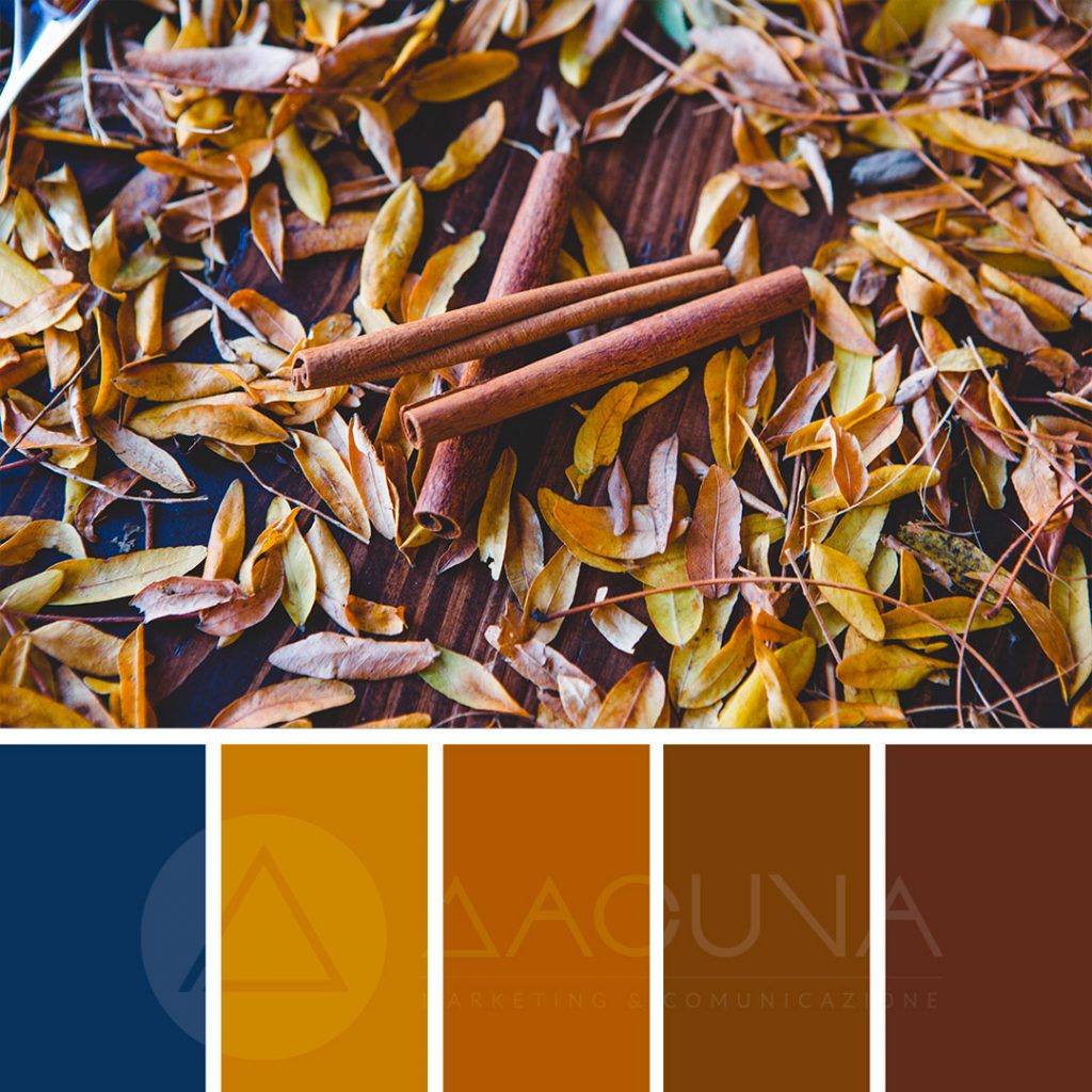 10 palettes di colori autunnali da scaricare - David Izurieta Dacuna