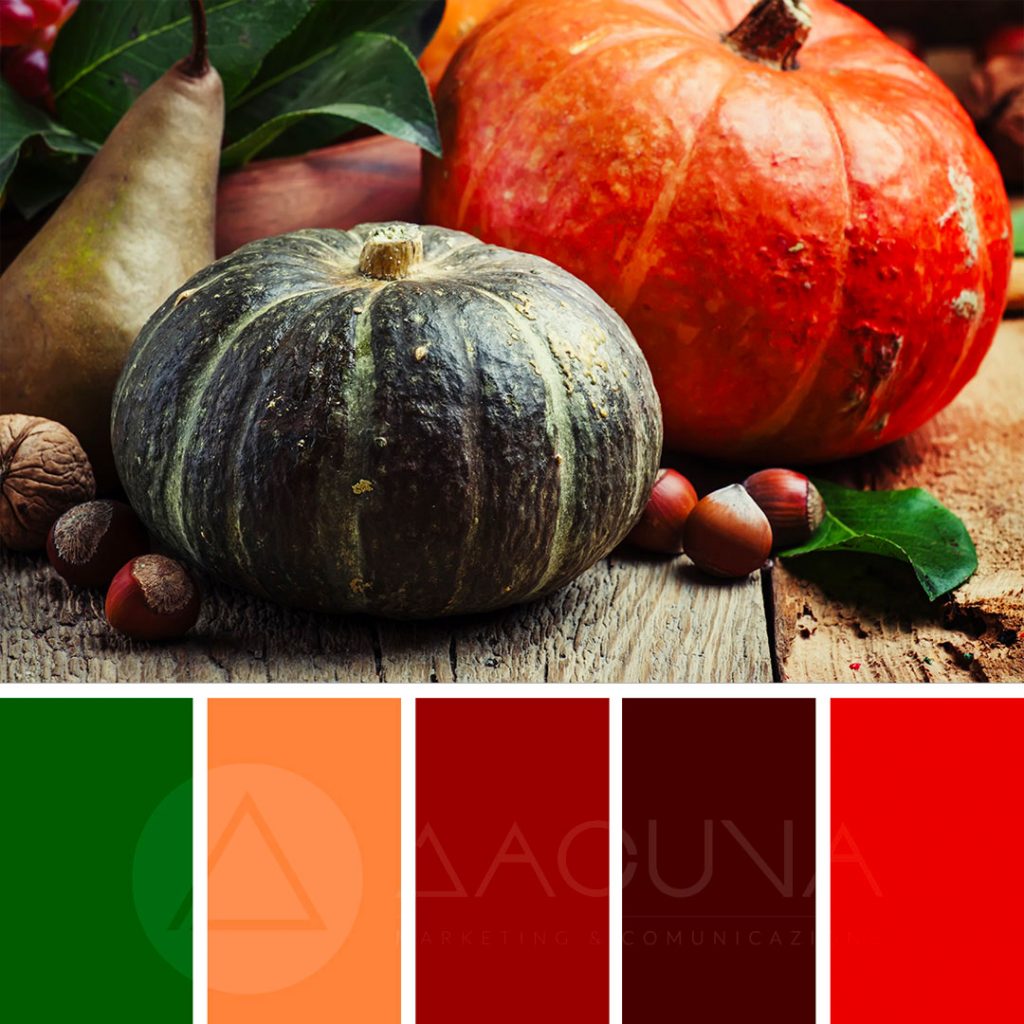 10 palettes di colori autunnali da scaricare - David Izurieta Dacuna